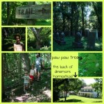 A Walk in the Woods: Dinsmore Homestead - Family Friendly Cincinnati
