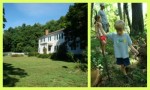 A Walk in the Woods: Dinsmore Homestead - Family Friendly Cincinnati