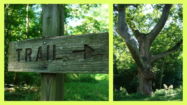 A Walk in the Woods: Dinsmore Homestead - Family Friendly Cincinnati