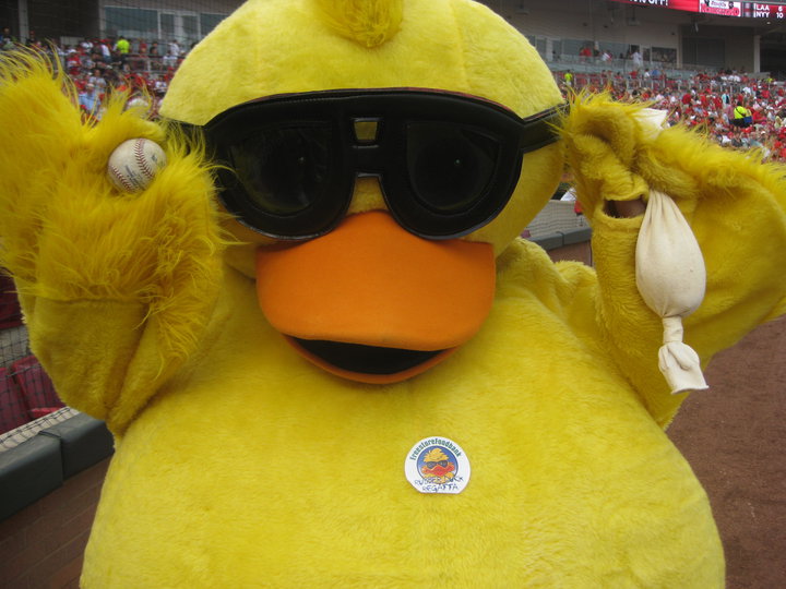 Guest Post: Quacky The Duck Talks Regatta - Family Friendly Cincinnati