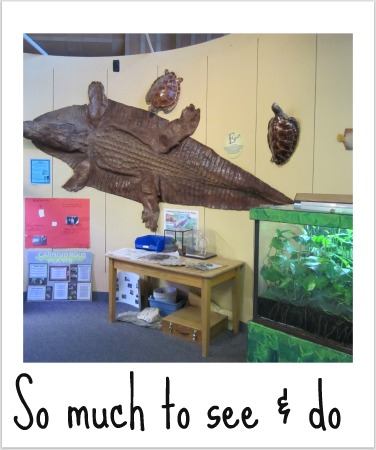 Nature's Trading Post - Family Friendly Cincinnati