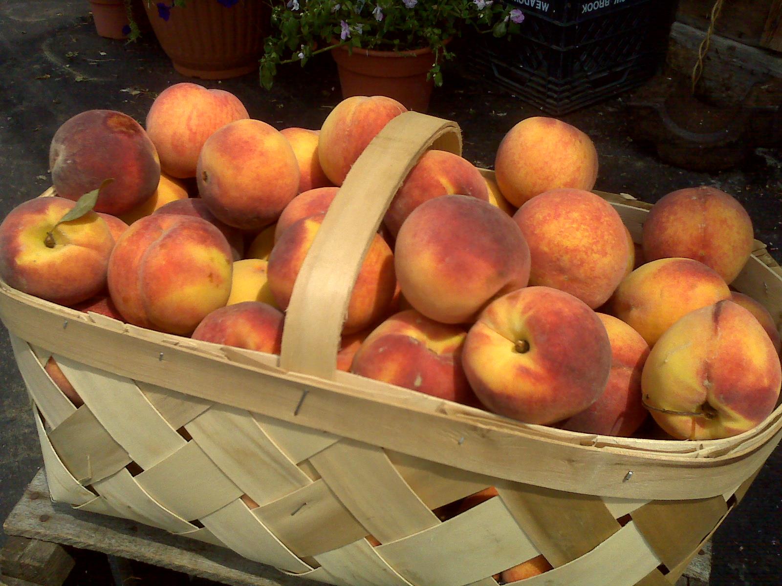 Peaches - Family Friendly Cincinnati