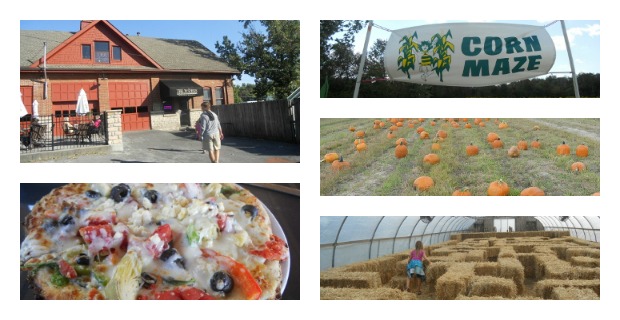 Blooms & Berries Farm in the Fall - Family Friendly Cincinnati
