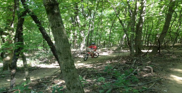 Get on Your Bike and Ride - Mitchell Memorial Forest - Family Friendly ...