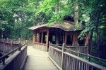 Cincinnati Parks :: Mt. Airy Forest - Family Friendly Cincinnati