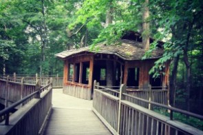 Cincinnati Parks :: Mt. Airy Forest - Family Friendly Cincinnati