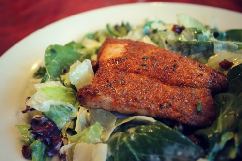 Super Salads in Cincinnati & Northern Kentucky - Family Friendly Cincinnati